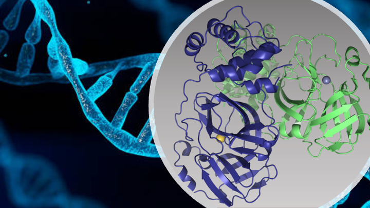 DATE OPEN DAY MAGISTRALI SCUOLA DI SMFN | News | Scuola di Scienze ...
